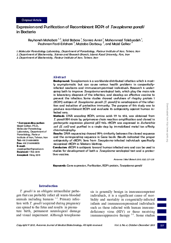 (PDF) Expression and Purification of Recombinant ROP1 of Toxoplasma ...