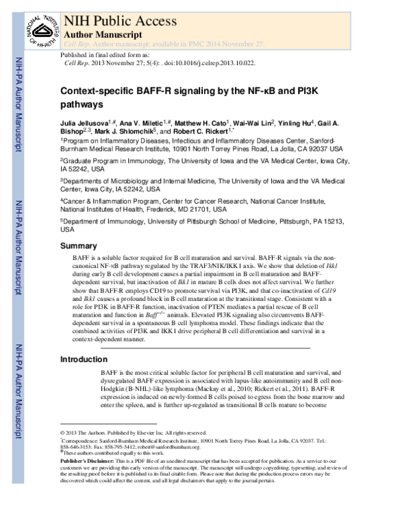 (PDF) Context-specific BAFF-R signaling by the NF-κB and PI3K pathways