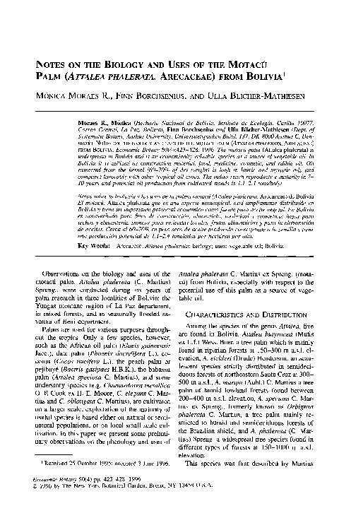 (PDF) Notes on the Biology and Uses of the Motacú Palm(Attalea ...