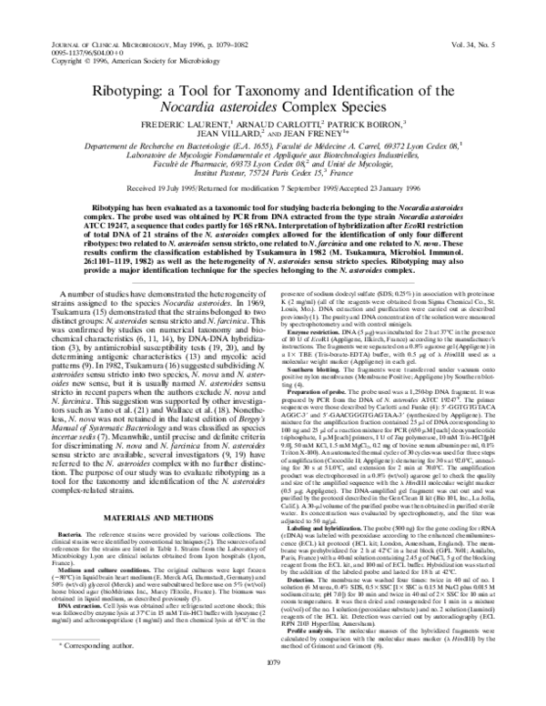 (PDF) Ribotyping: a tool for taxonomy and identification of the Nocardia asteroides complex species