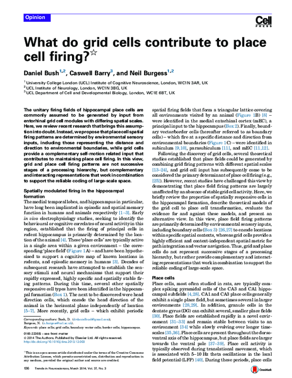 (PDF) What do grid cells contribute to place cell firing?