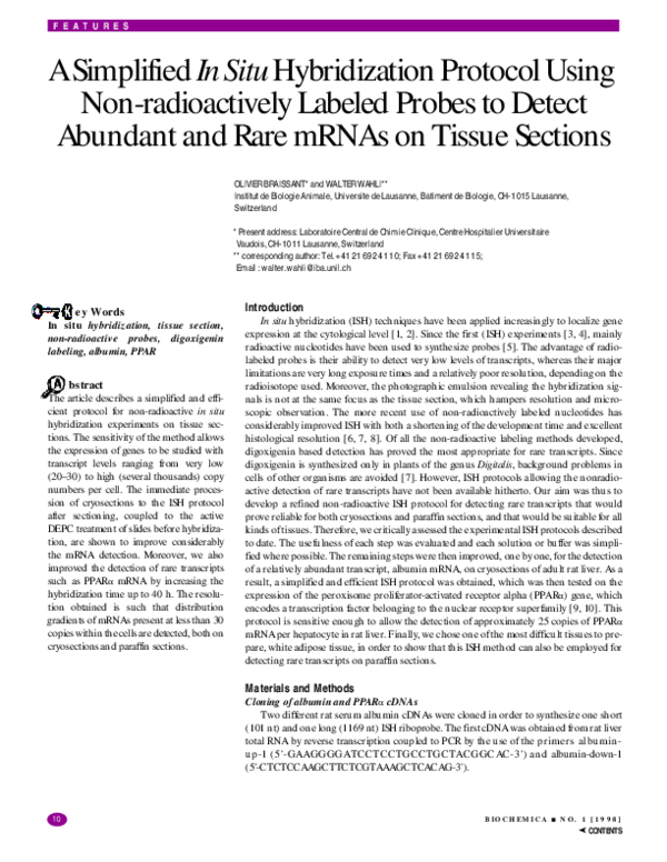 (PDF) A simplified in situ hybridization protocol using non-radioactively labeled probes to ...