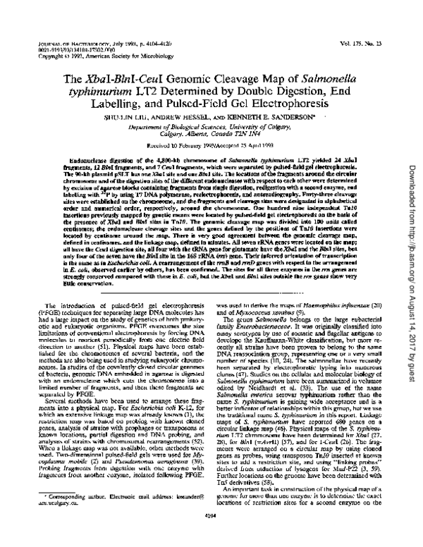 (PDF) The XbaI-BlnI-CeuI genomic cleavage map of Salmonella typhimurium ...