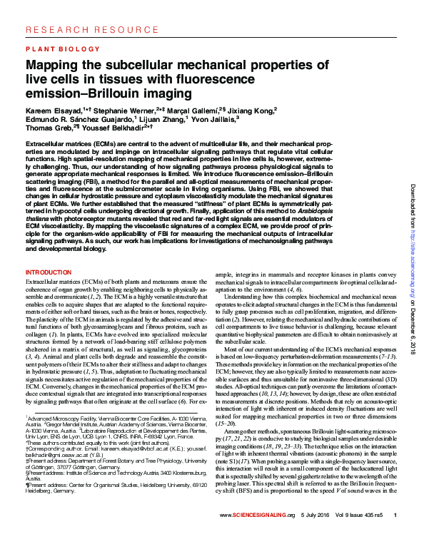 (PDF) Mapping the subcellular mechanical properties of live cells in ...