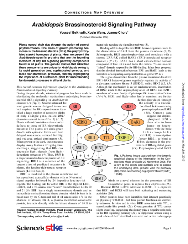 (PDF) Arabidopsis Brassinosteroid Signaling Pathway