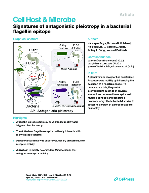 (PDF) Signatures of antagonistic pleiotropy in a bacterial flagellin ...