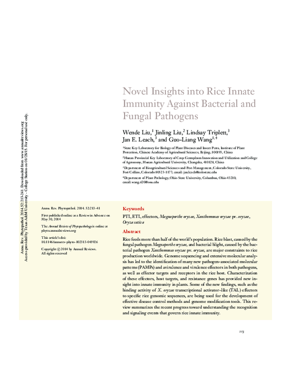(PDF) Novel Insights into Rice Innate Immunity Against Bacterial and ...
