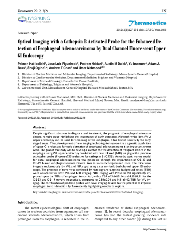 (PDF) Optical Imaging with a Cathepsin B Activated Probe for the ...