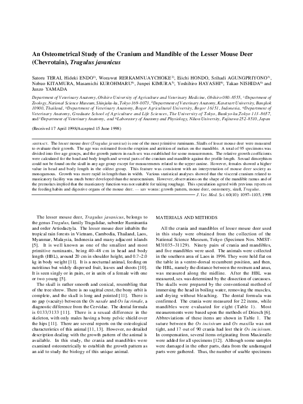 (PDF) An Osteometrical Study of the Cranium and Mandible of the Lesser ...