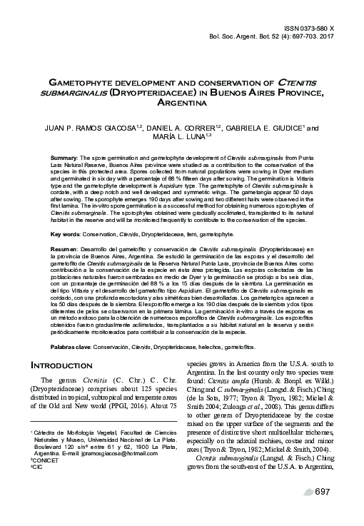 (PDF) Desarrollo del gametofito y conservación de Ctenitis ...