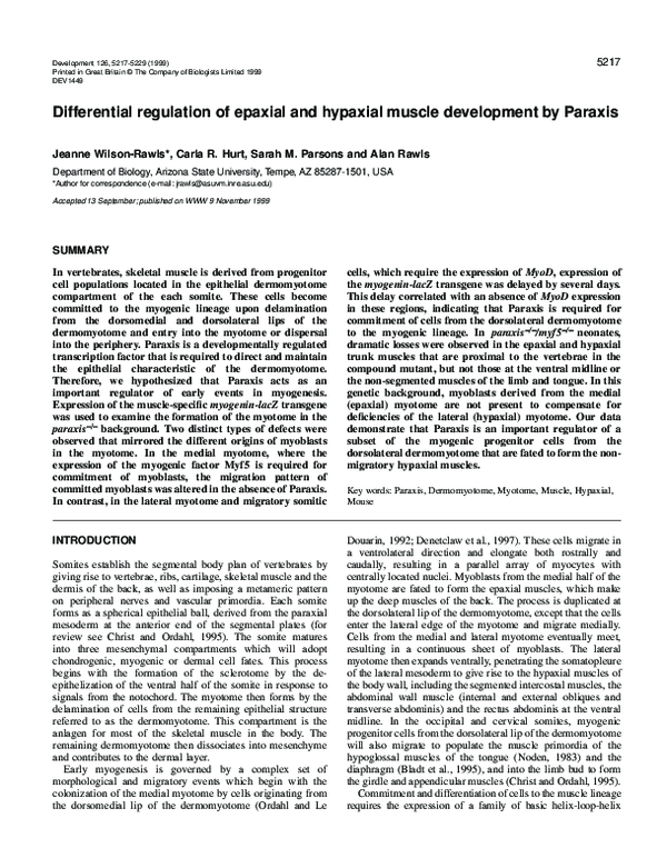 (PDF) Differential regulation of epaxial and hypaxial muscle ...