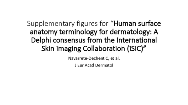 (PDF) Human surface anatomy terminology for dermatology: a Delphi ...