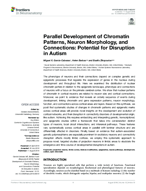 (PDF) Parallel Development of Chromatin Patterns, Neuron Morphology ...
