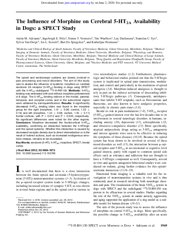 (PDF) The Influence of Morphine on Cerebral 5-HT2A Availability in Dogs ...