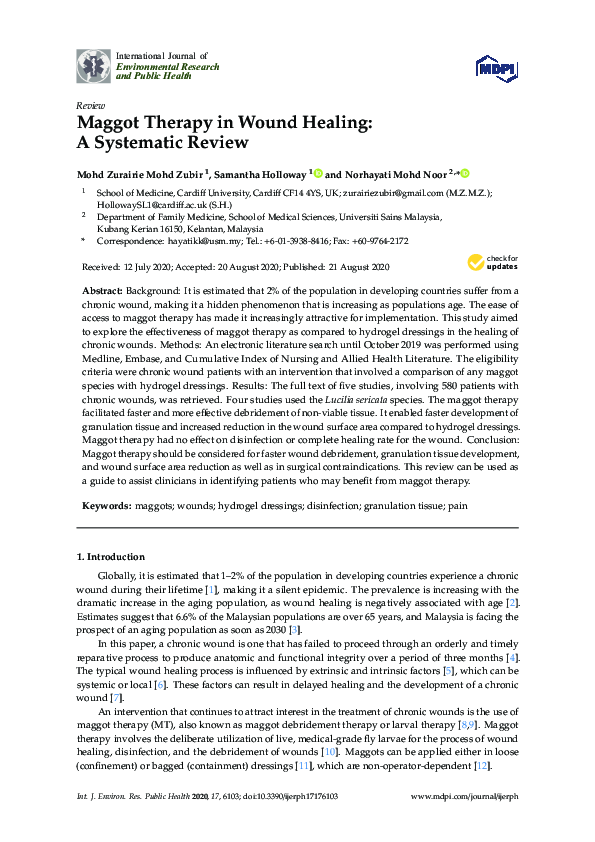 (PDF) Maggot Therapy in Wound Healing: A Systematic Review | Zurairie ...