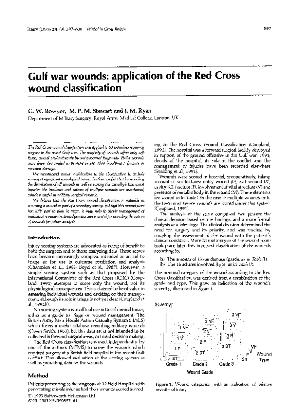(PDF) Gulf war wounds: application of the Red Cross wound classification