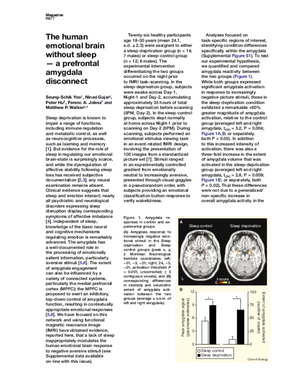 (PDF) The human emotional brain without sleep — a prefrontal amygdala ...