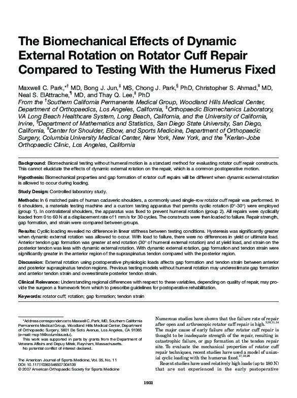 (PDF) The Biomechanical Effects of Dynamic External Rotation on Rotator ...