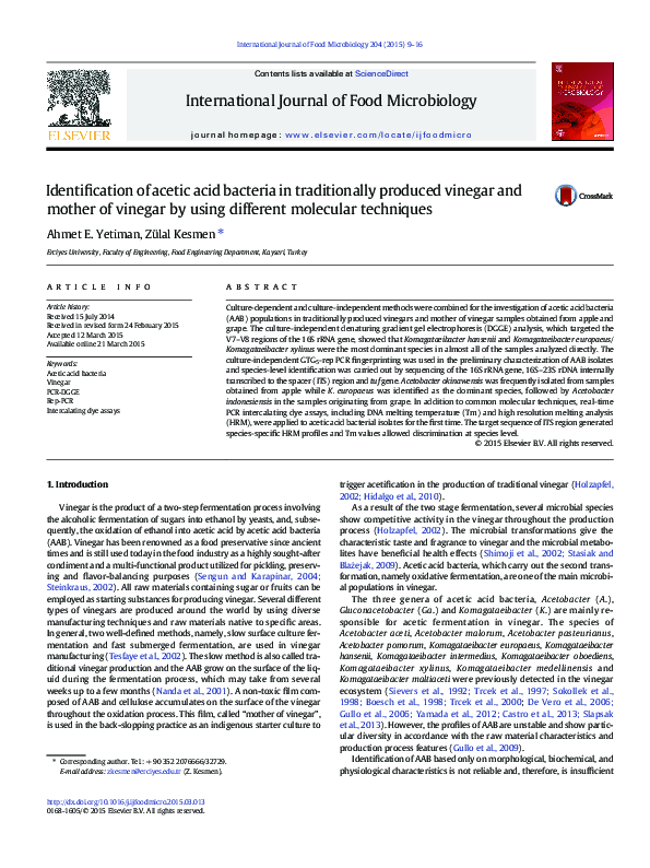 (PDF) Identification of acetic acid bacteria in traditionally produced ...