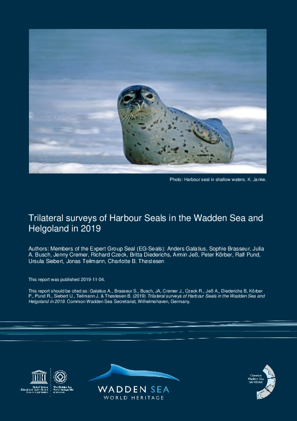 (PDF) 2019 Harbour seal report: Trilateral surveys of Harbour Seals in ...