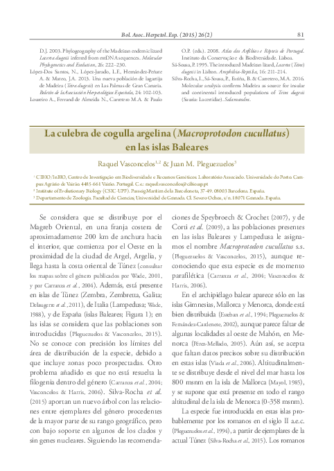 (PDF) La culebra de cogulla argelina (Macroprotodon cucullatus) en las ...