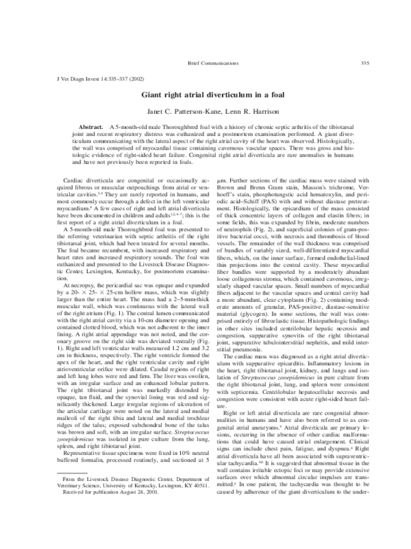 (PDF) Giant Right Atrial Diverticulum in a Foal