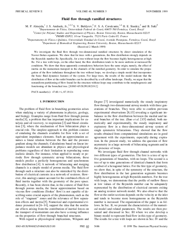 (PDF) Fluid flow through ramified structures