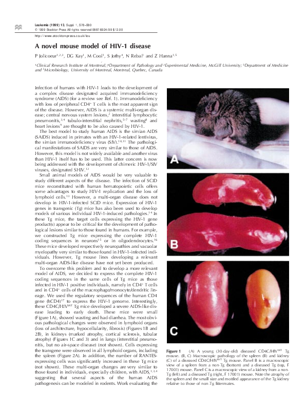 (PDF) A novel mouse model of HIV-1 disease