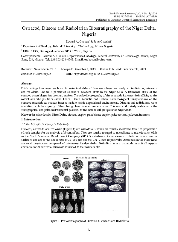(PDF) Ostracod, Diatom and Radiolarian Biostratigraphy of the Niger Delta, Nigeria