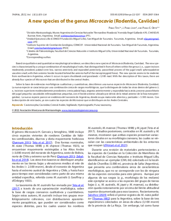 (PDF) A new species of the genus Microcavia (Rodentia, Caviidae)