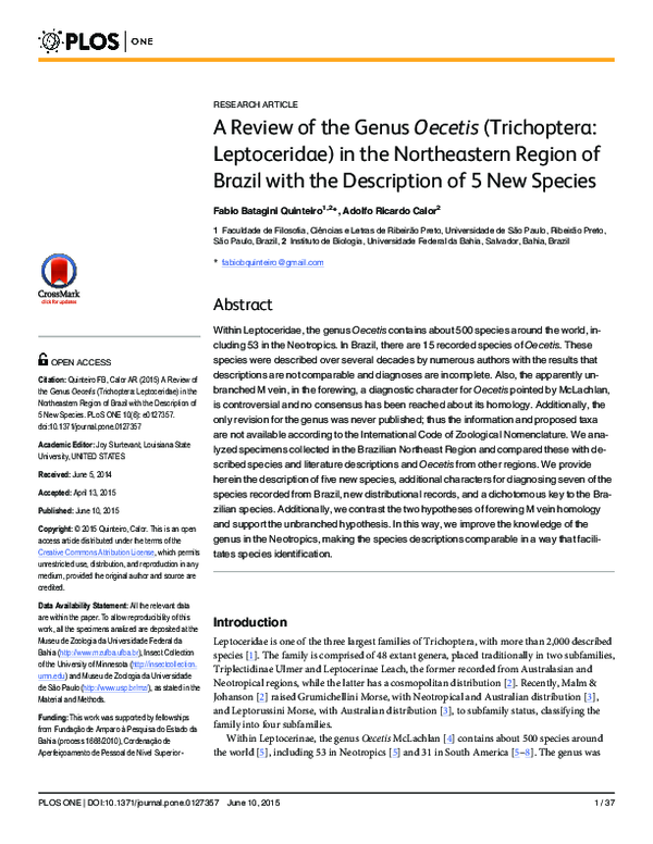 (PDF) A Review of the Genus Oecetis (Trichoptera: Leptoceridae) in the ...