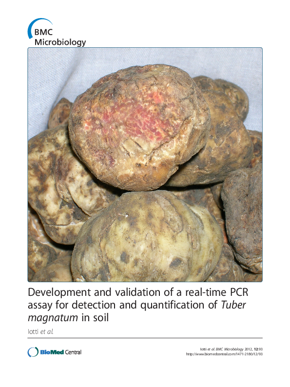 (PDF) Development and validation of a real-time PCR assay for detection and quantification of ...