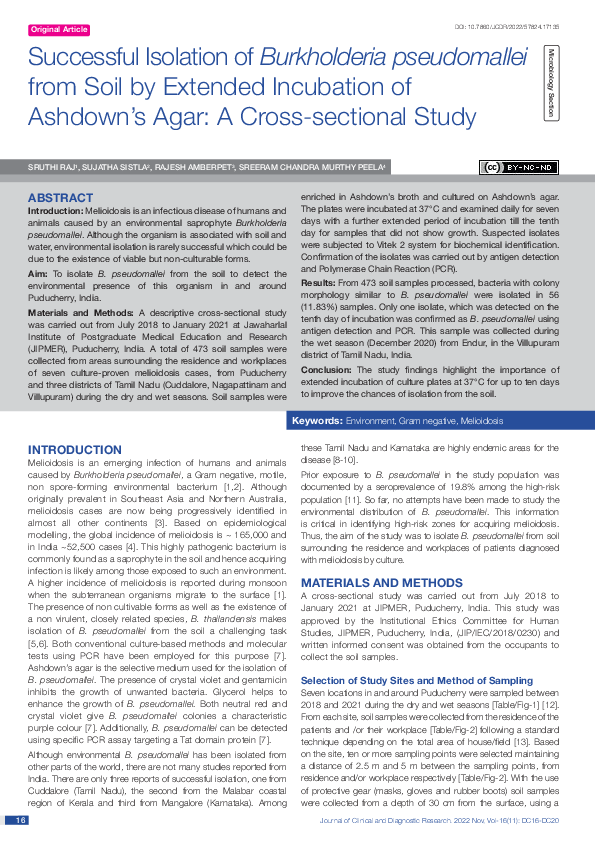(PDF) Successful Isolation of Burkholderia pseudomallei from Soil by ...