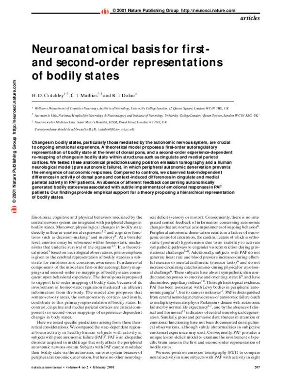 (PDF) Neuroanatomical basis for first- and second-order representations ...