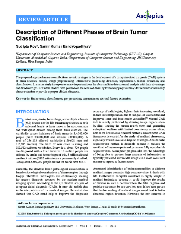 (PDF) Description of Different Phases of Brain Tumor Classification