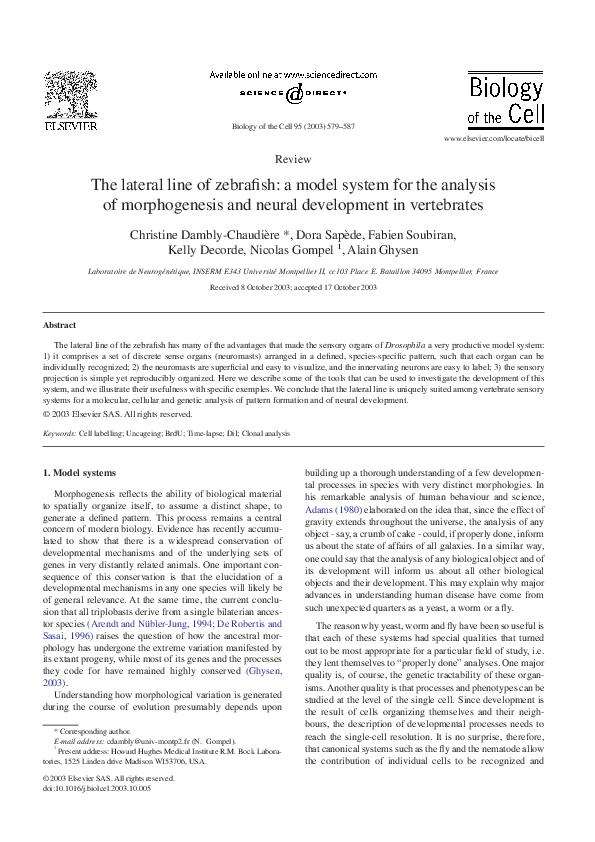 (PDF) Zebrafish Lateral Line: Model for Morphogenesis