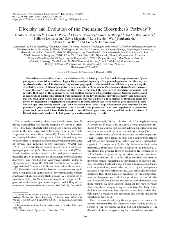 (PDF) Diversity and Evolution of the Phenazine Biosynthesis Pathway