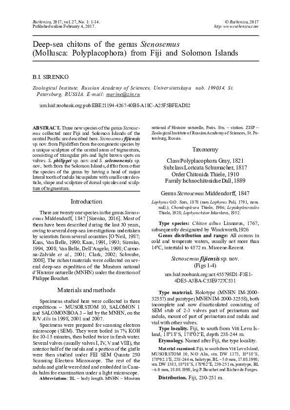 (PDF) Deep-sea chitons of the genus Stenosemus (Mollusca: Polyplacophora) from Fiji and Solomon ...