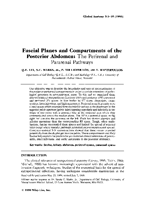 (PDF) Fascial planes and compartments of the posterior abdomen: The ...