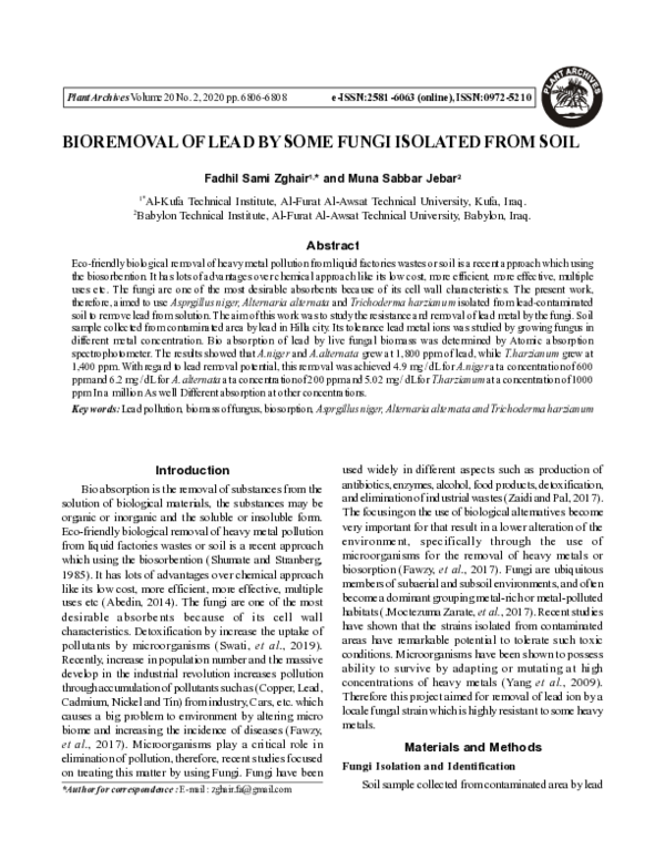 (PDF) Bioremoval of Lead by Some Fungi Isolated from Soil
