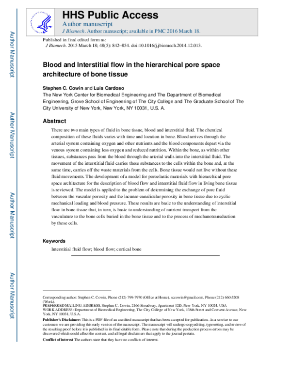 (PDF) Blood and interstitial flow in the hierarchical pore space ...