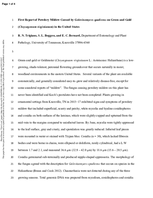 (PDF) First Report of Powdery Mildew Caused by Golovinomyces spadiceus ...