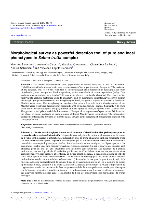 (PDF) Morphological survey as powerful detection tool of pure and local ...