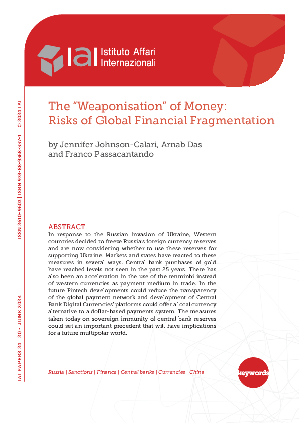 (PDF) The "Weaponisation" of Money: Risks of Global Financial Fragmentation