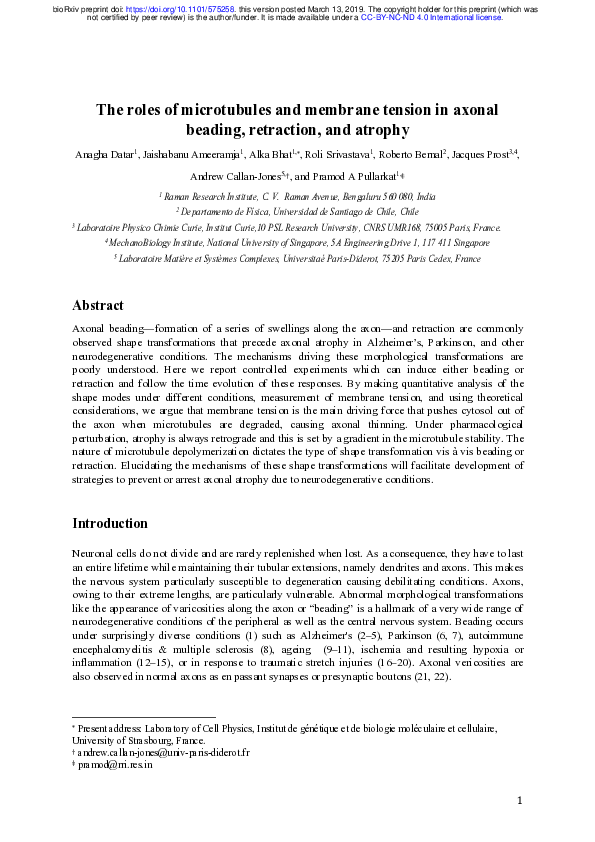 (PDF) The roles of microtubules and membrane tension in axonal beading ...