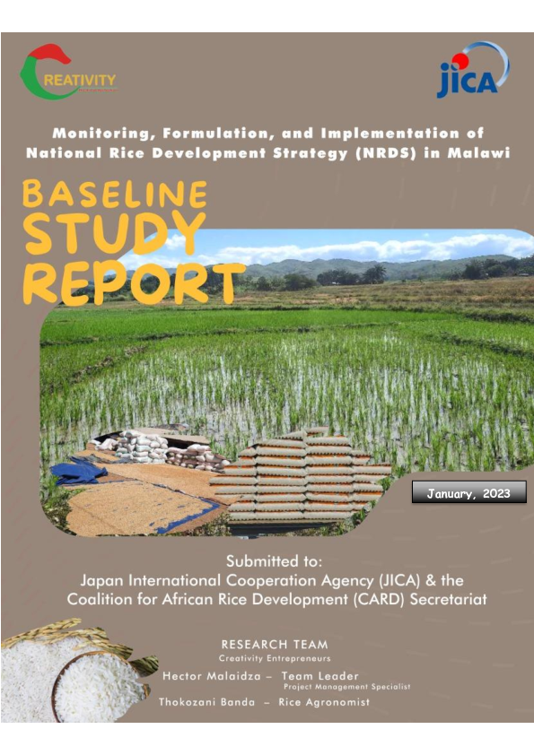 (PDF) Baseline Study for the Monitoring, Formulation, and ...