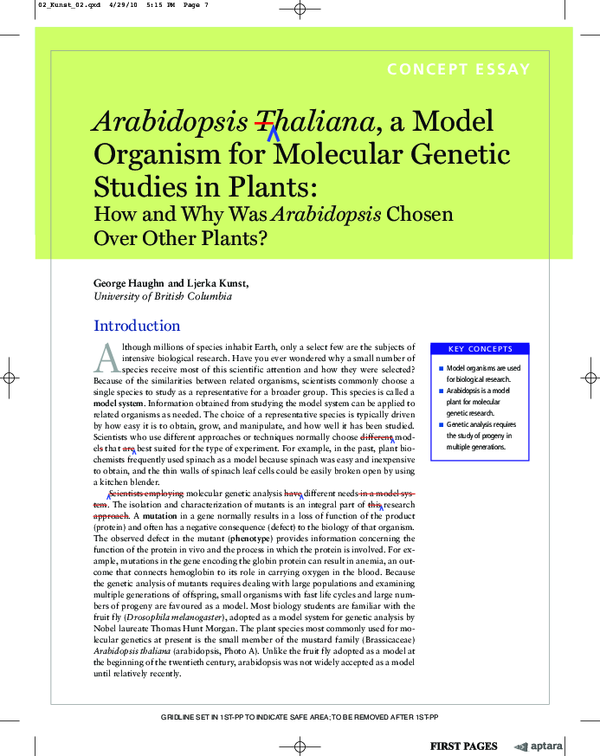(PDF) Arabidopsis Thaliana , a Model Organism for Molecular Genetic ...
