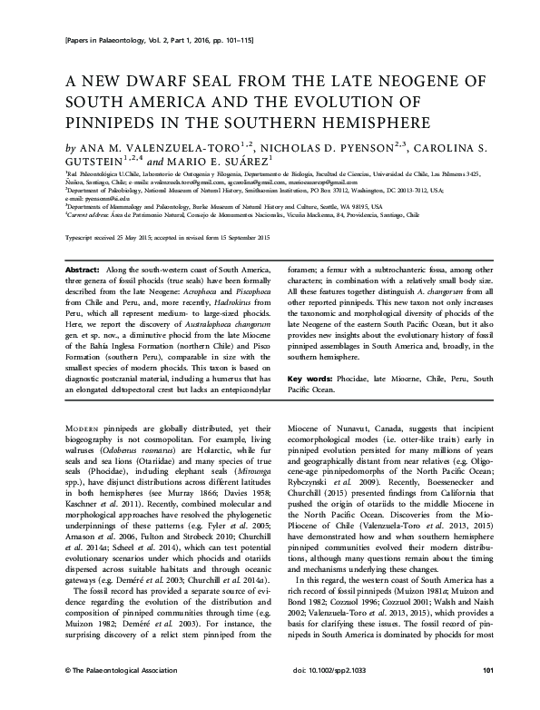 (PDF) A new dwarf seal from the late Neogene of South America and the ...