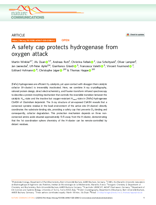 (PDF) A safety cap protects hydrogenase from oxygen attack