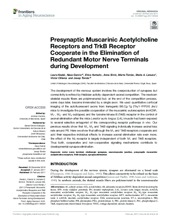 (PDF) Presynaptic Muscarinic Acetylcholine Receptors and TrkB Receptor Cooperate in the ...